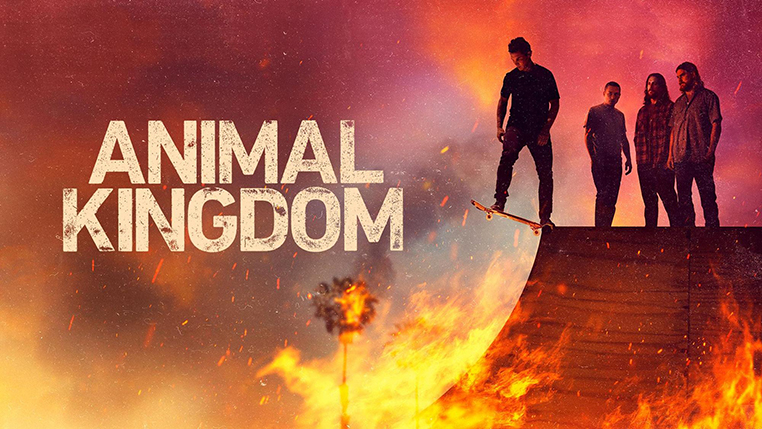 Animal Kingdom: elk seizoen op Netflix bekijken
